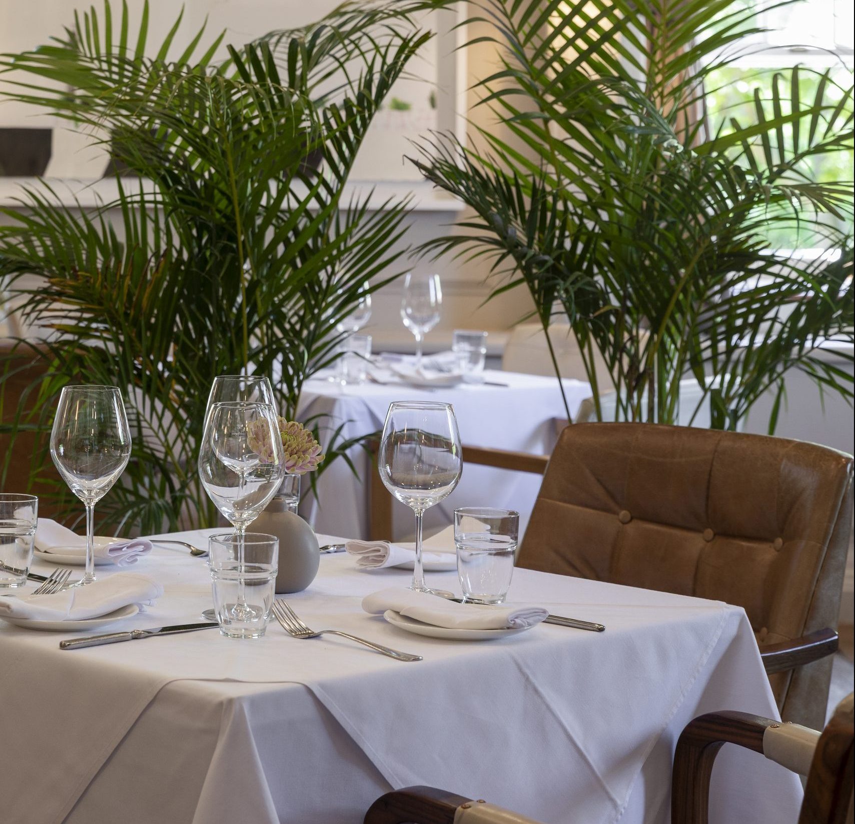 What's On | Events at The Alphen Boutique Hotel & Spa